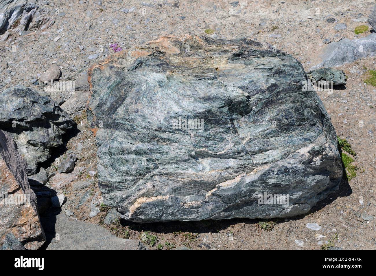 Serpentinite is a metamorphic rock formed by serpentinization of mafic ...