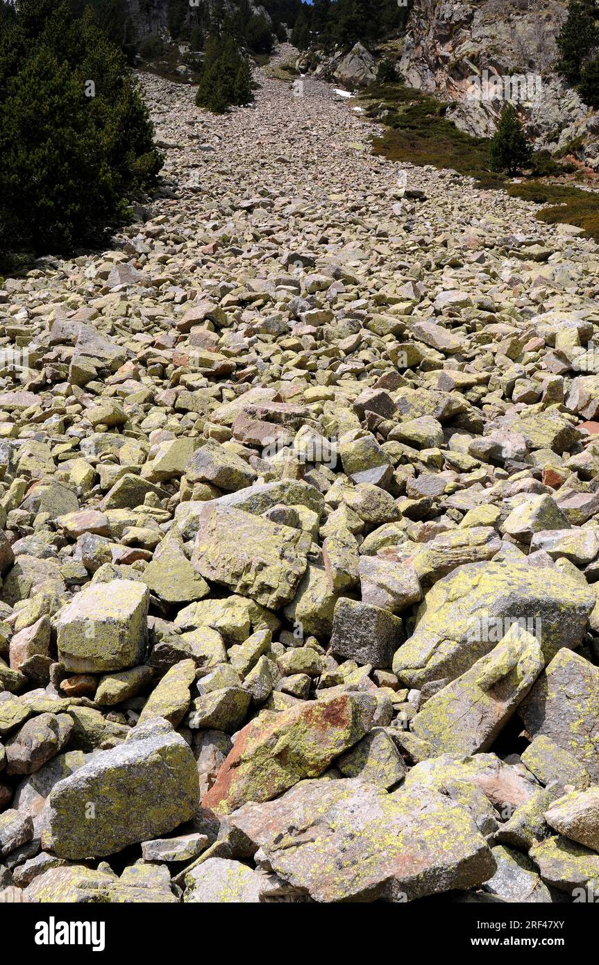 Scree of granitic blocks. This photo was taken in Nuria, Girona ...