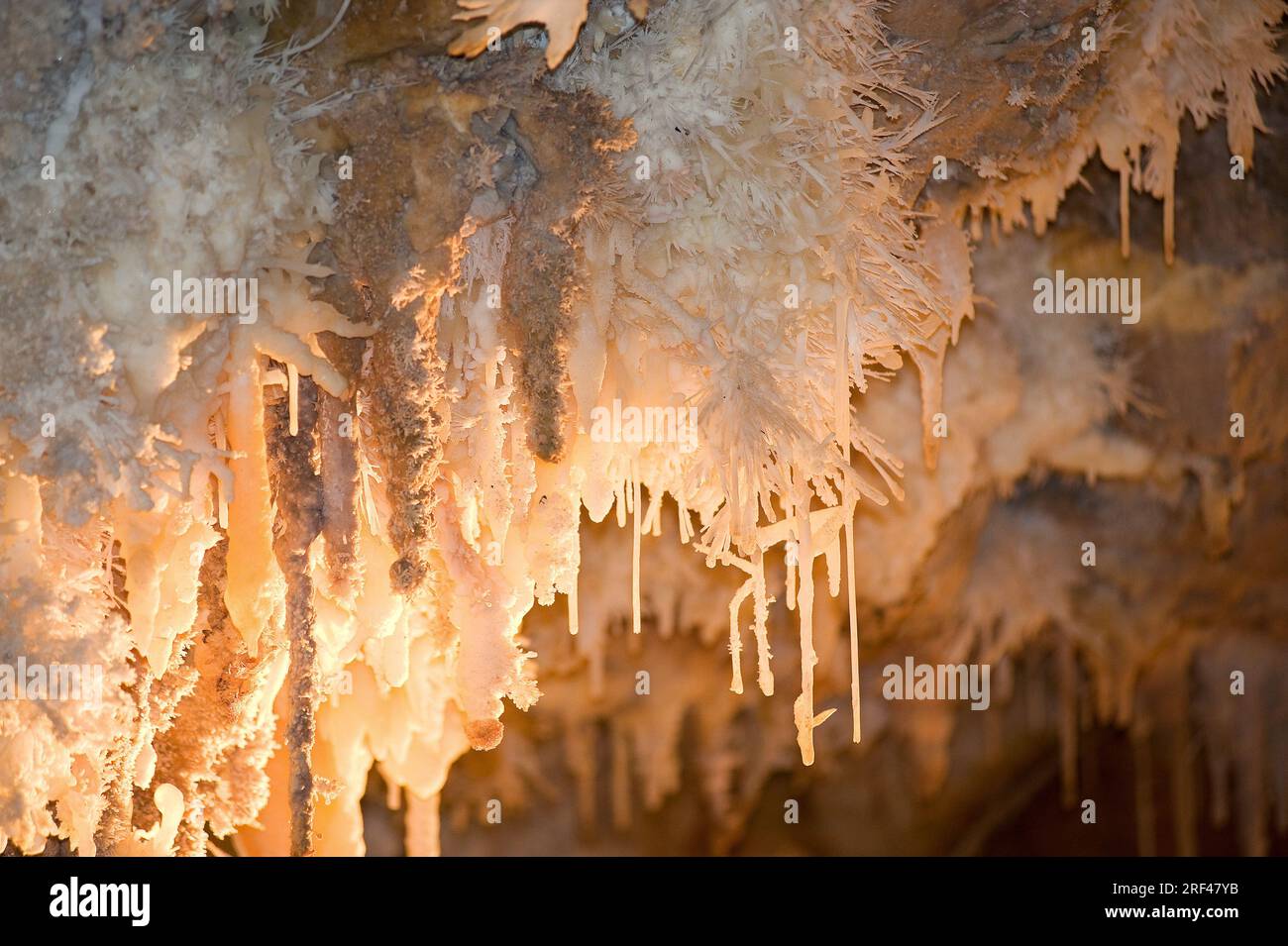 Giant chasm of Cabrespine. Cave with eccentric stalactites. Aude ...