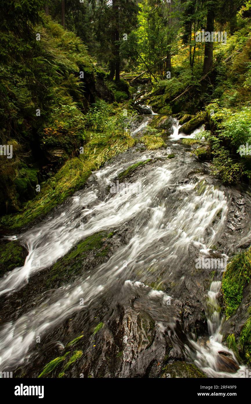 Bila Opava river in the Hruby Jesenik mountains with motion blur effect ...