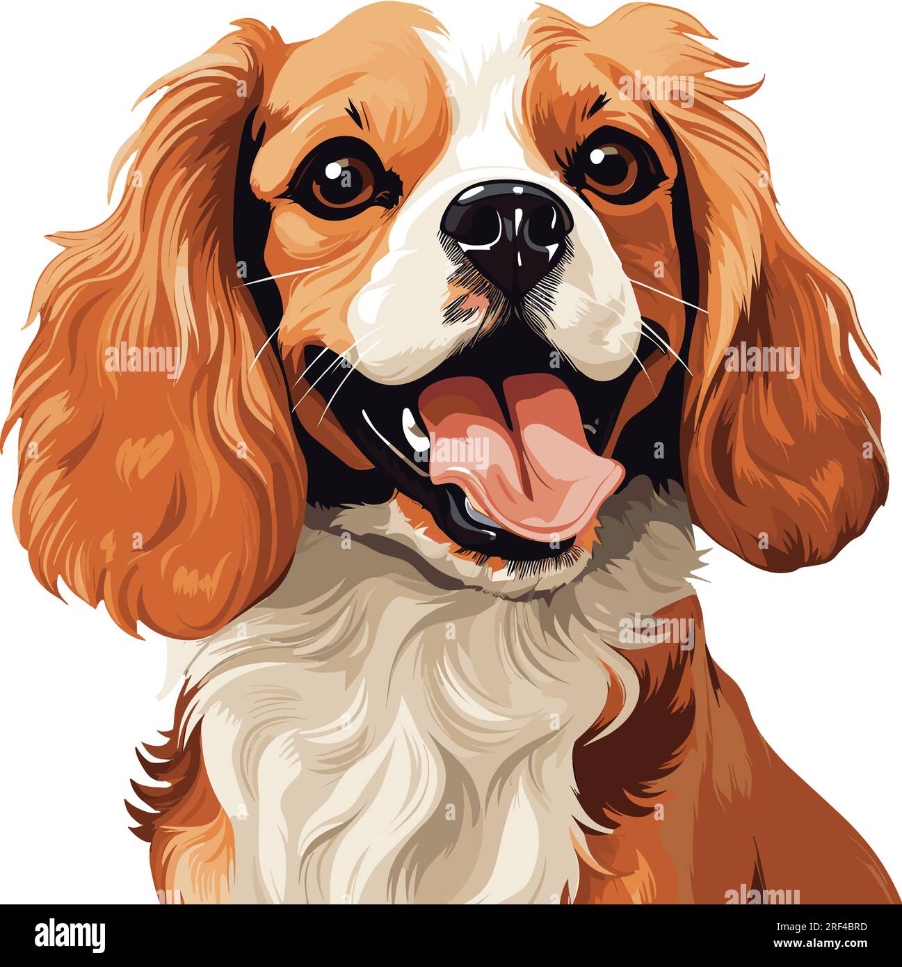 King cavalier spaniel Stock Vector Images - Alamy