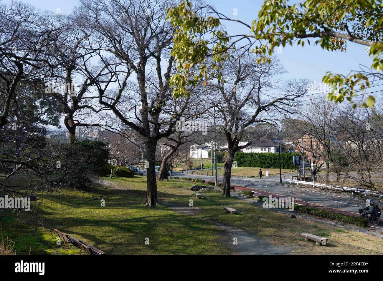 Fukuoka, Japan. 11th Mar, 2023. Views of the Fukuoka Castle Ruins (ç ...