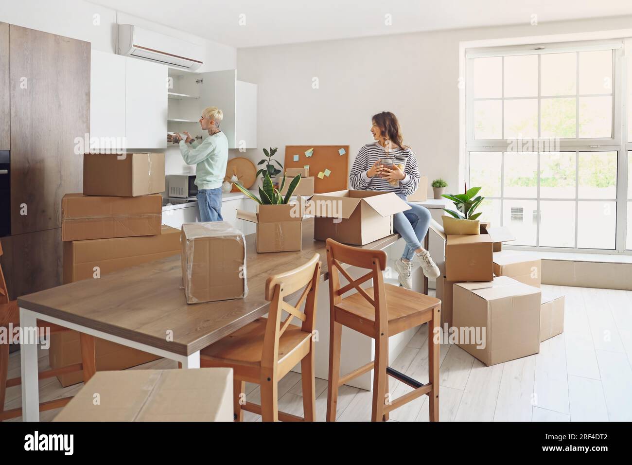 Unpacking dishes hi-res stock photography and images - Alamy