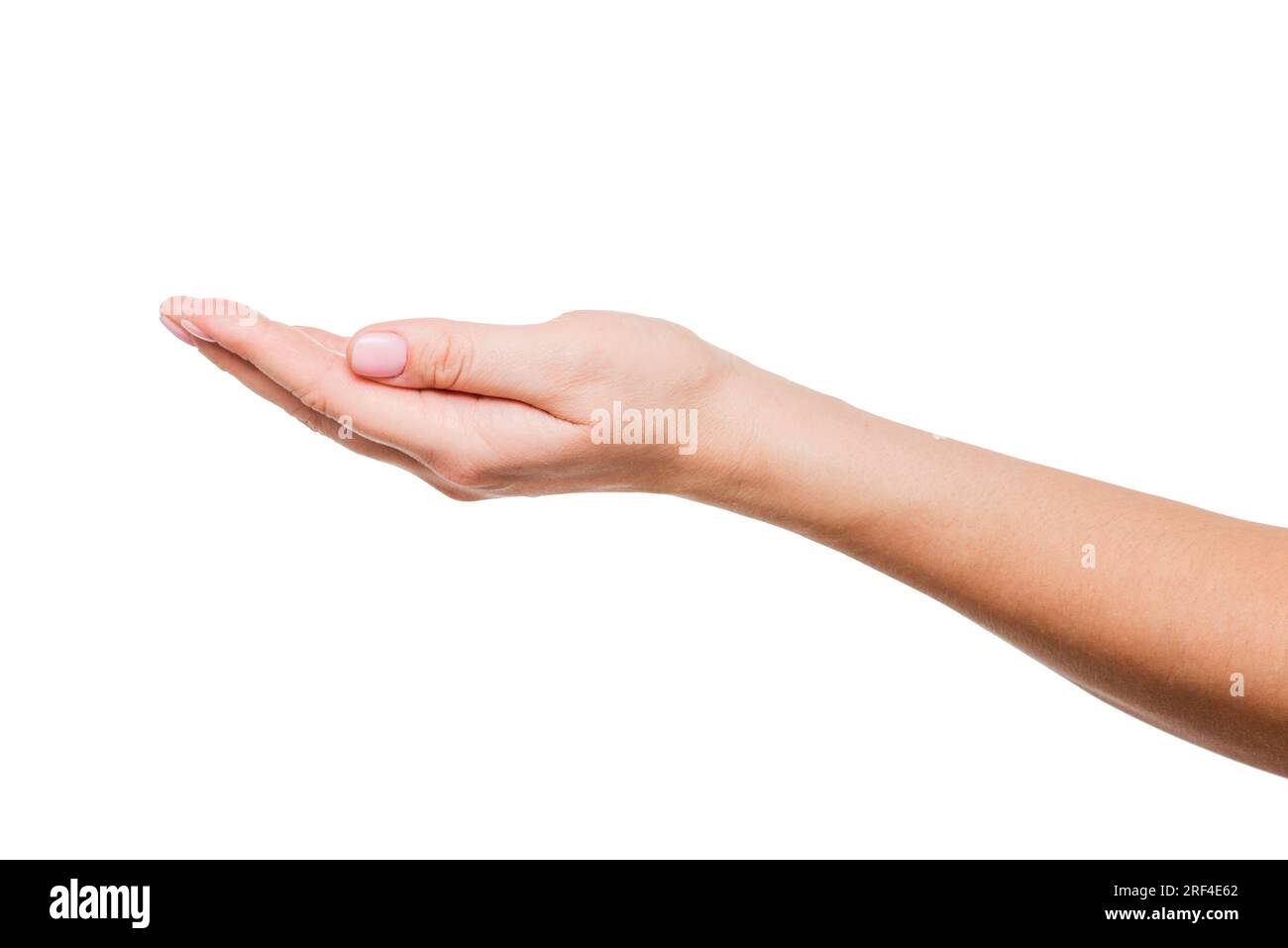 A beautiful womans open hand isolated on white background Stock Photo ...