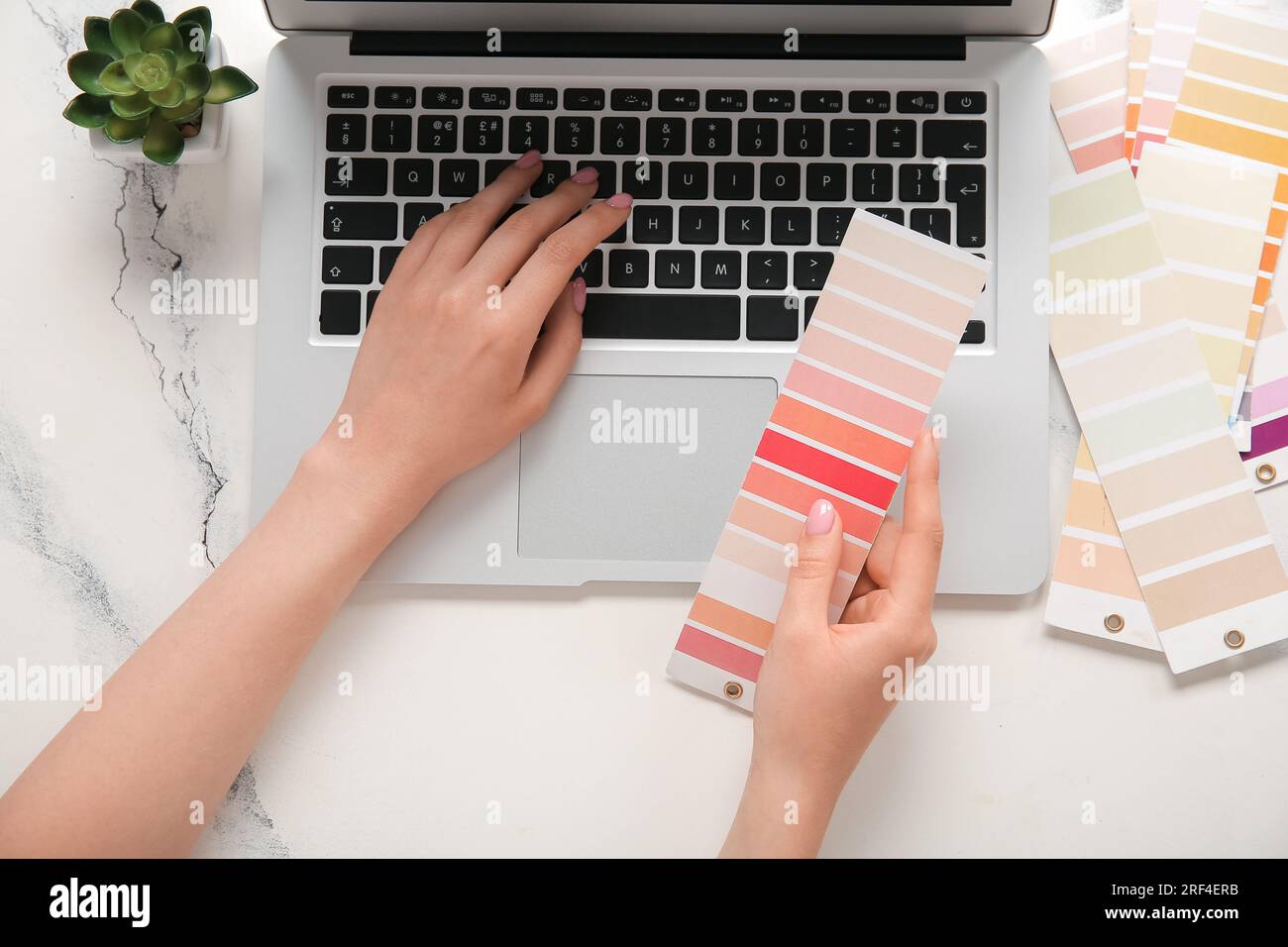 Female hands, color palettes and laptop on light background Stock Photo ...