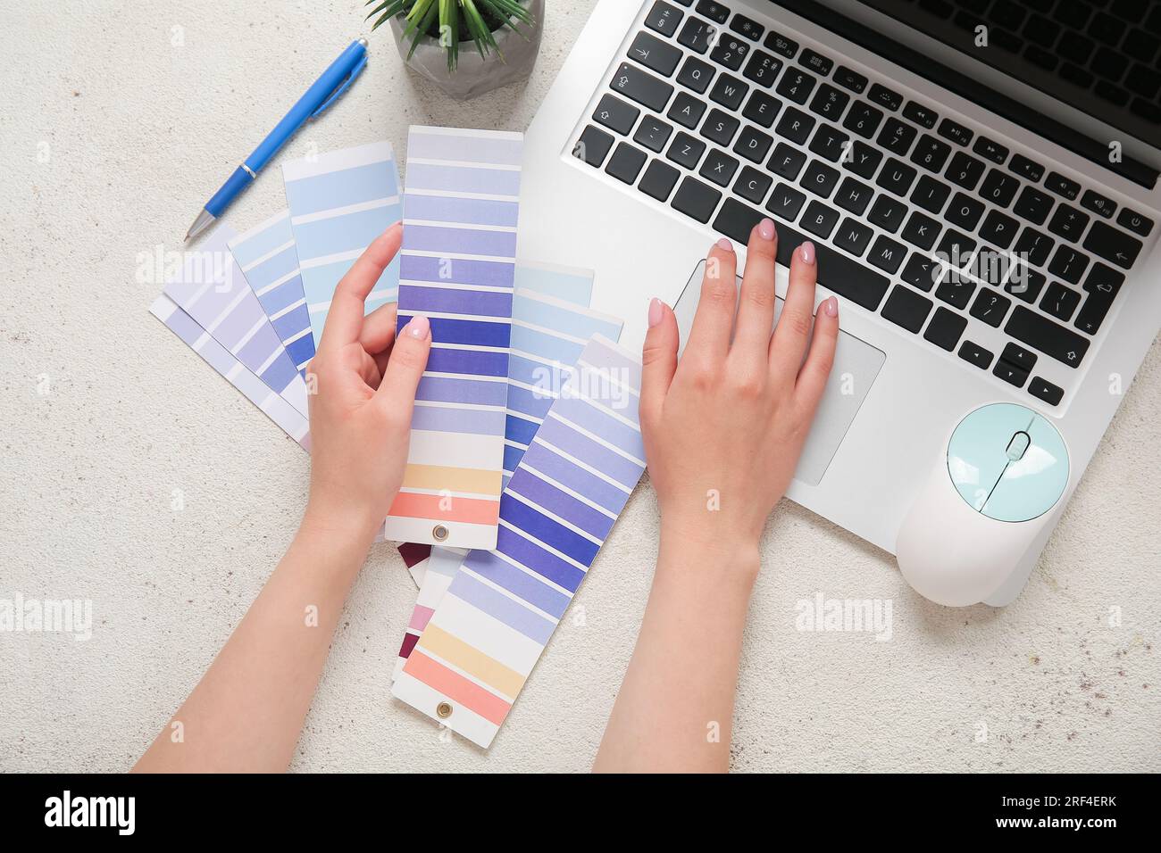 Female hands, color palettes and laptop on light background Stock Photo ...