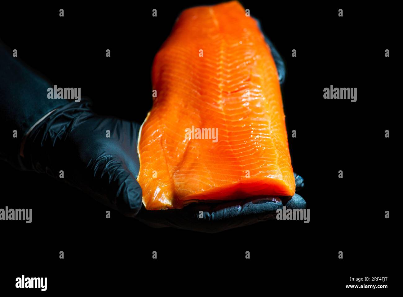 Chef in black latex gloves holds large piece of salmon fish fillet ...