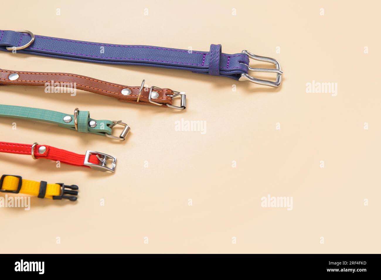 Set of different pet collars on color background Stock Photo - Alamy