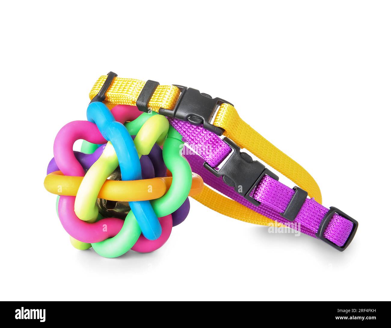 Colorful collars hi-res stock photography and images - Alamy