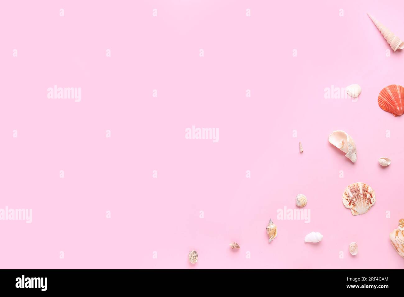 Many different seashells on pink background Stock Photo - Alamy