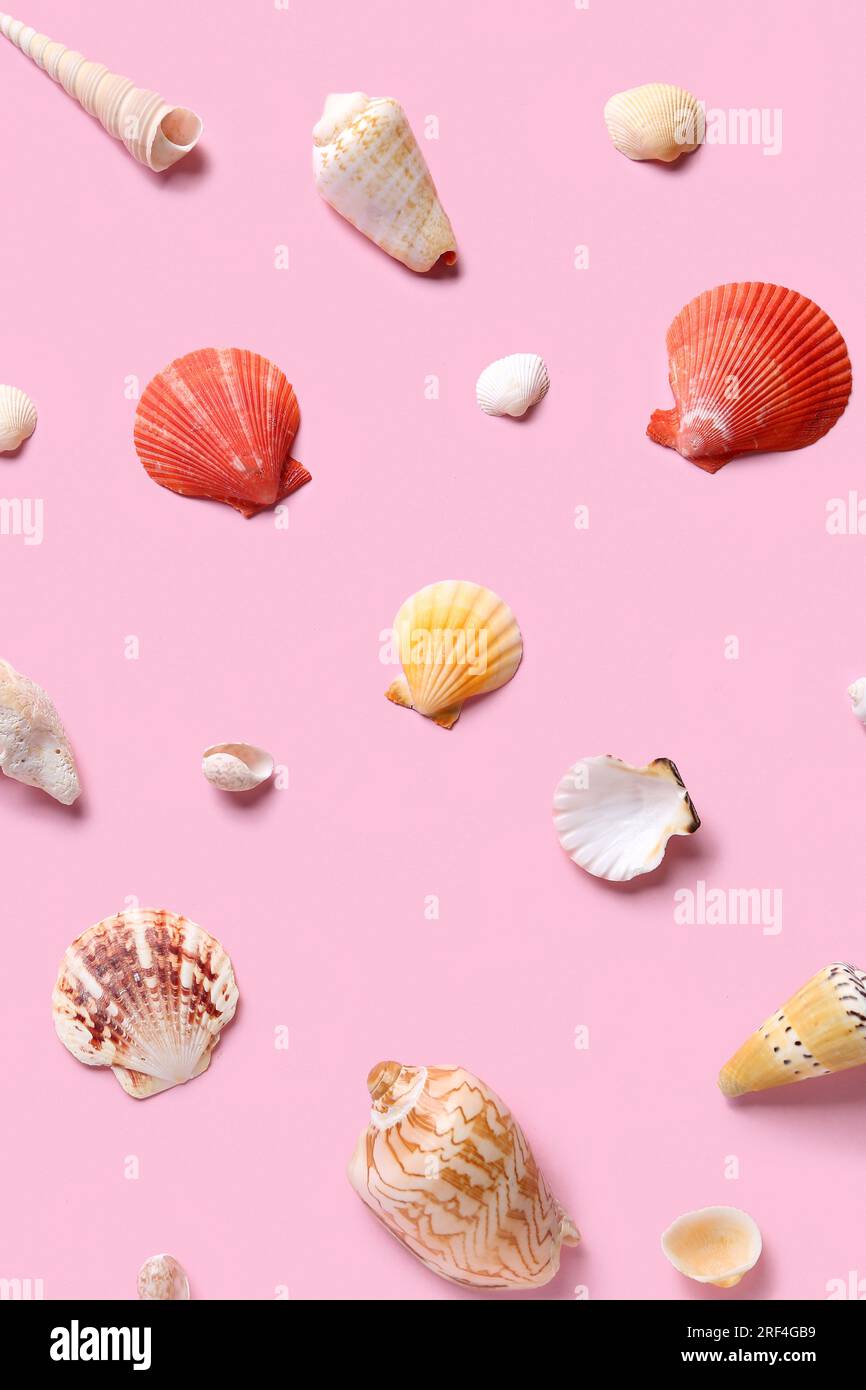 Many different seashells on pink background Stock Photo - Alamy