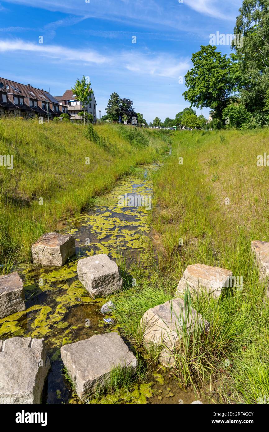 The Katernberger Bach, for over 40 years the stream was piped, 1.2 KM ...