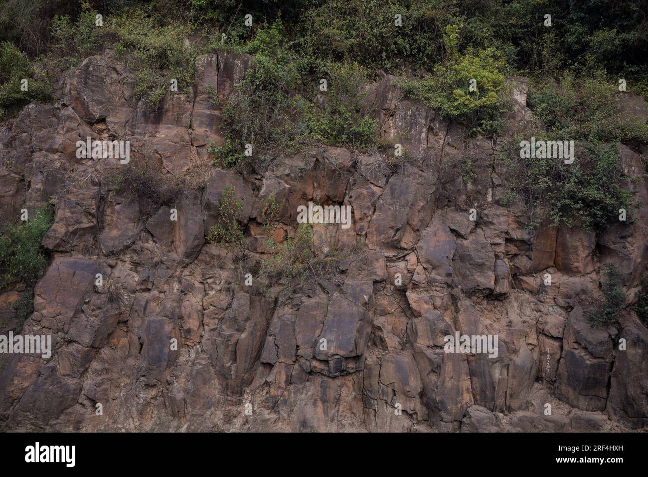 Great Rift Valley Kenya Landscapes Savannah Grassland Narok County Mai ...
