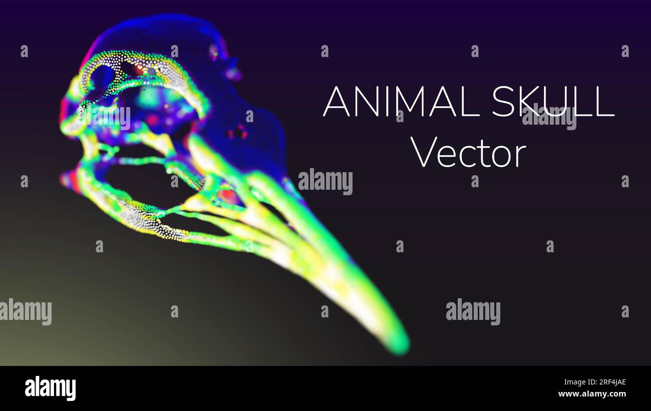 Dead bird in museum Stock Vector Images - Alamy