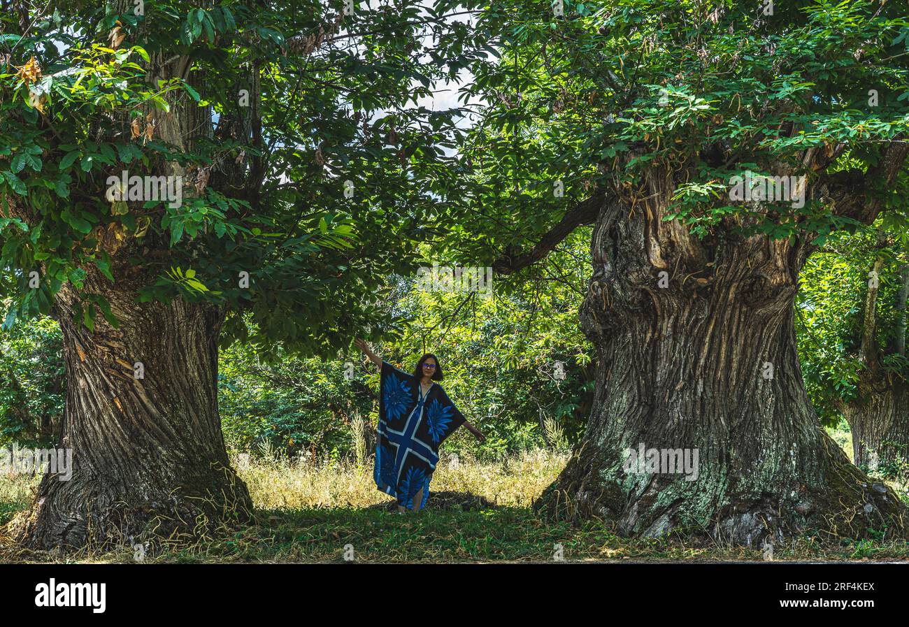 Woman among the trees Stock Photo - Alamy