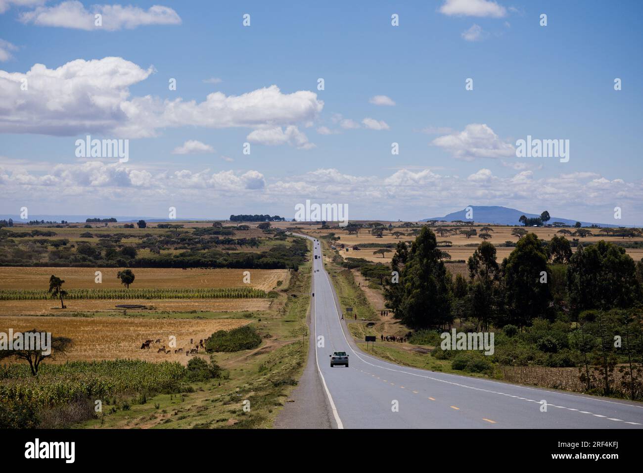 Great Rift Valley Kenya Landscapes Savannah Grassland Narok County Mai ...