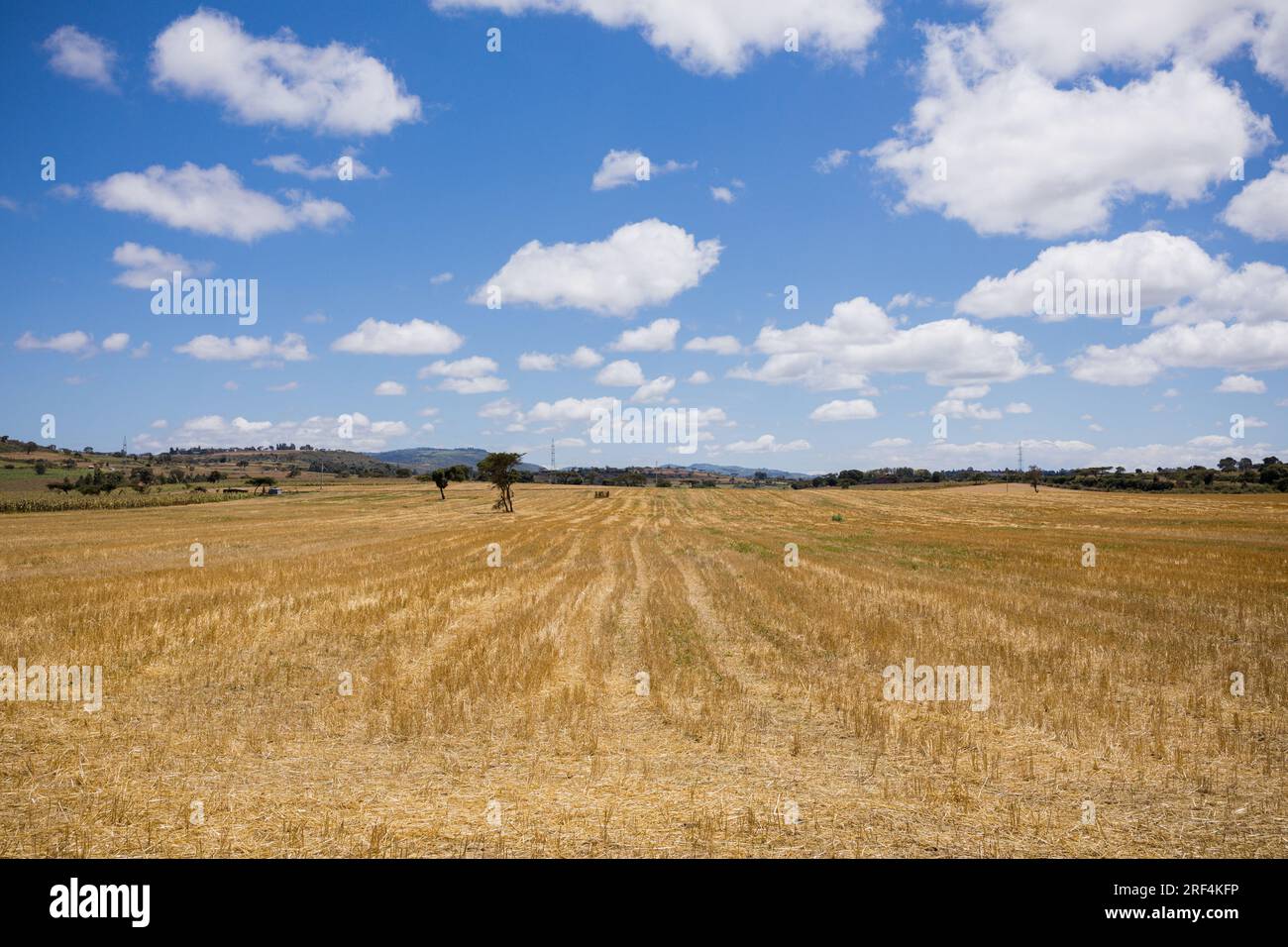 Great Rift Valley Kenya Landscapes Savannah Grassland Narok County Mai ...