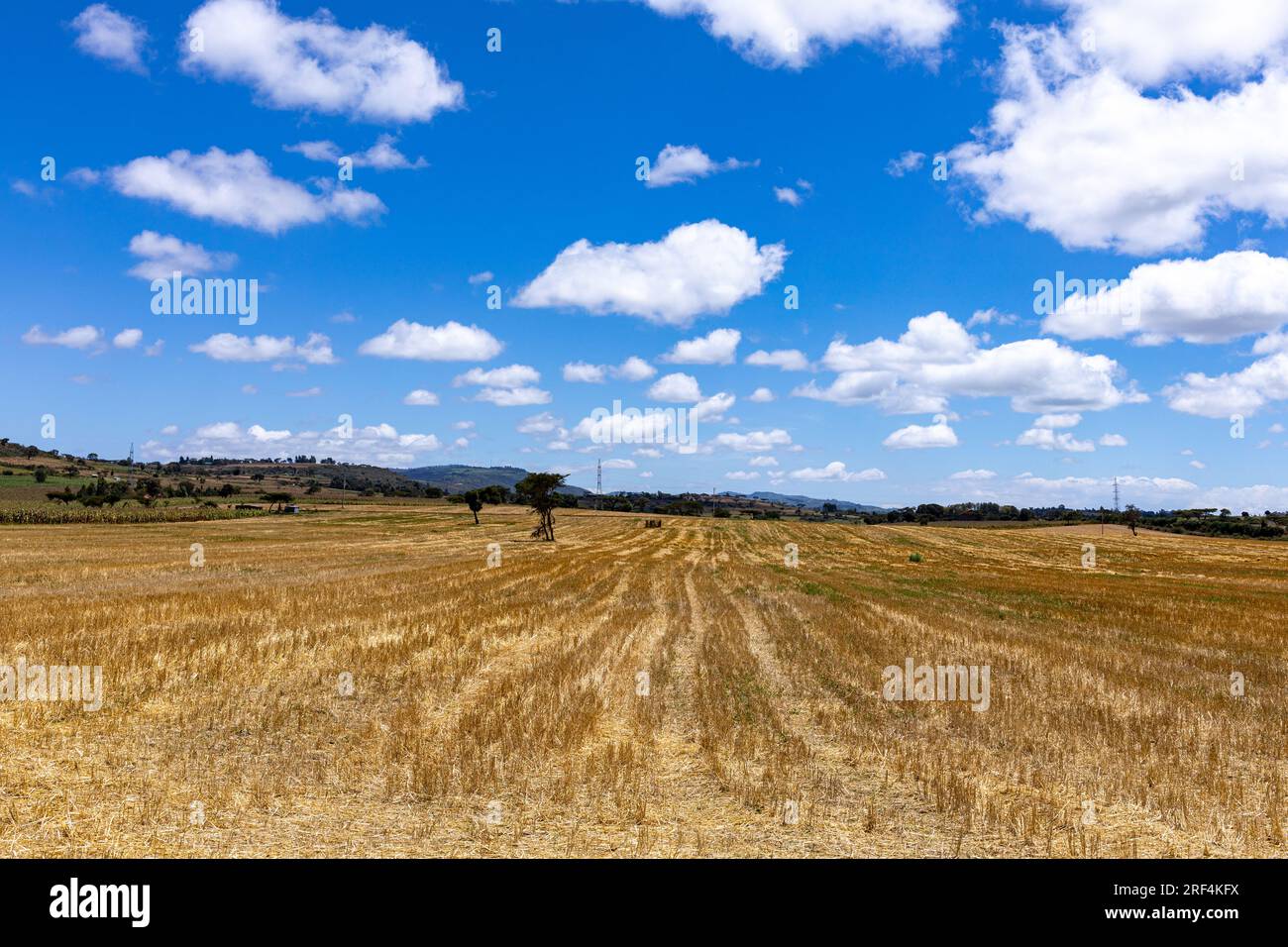 Great Rift Valley Kenya Landscapes Savannah Grassland Narok County Mai ...