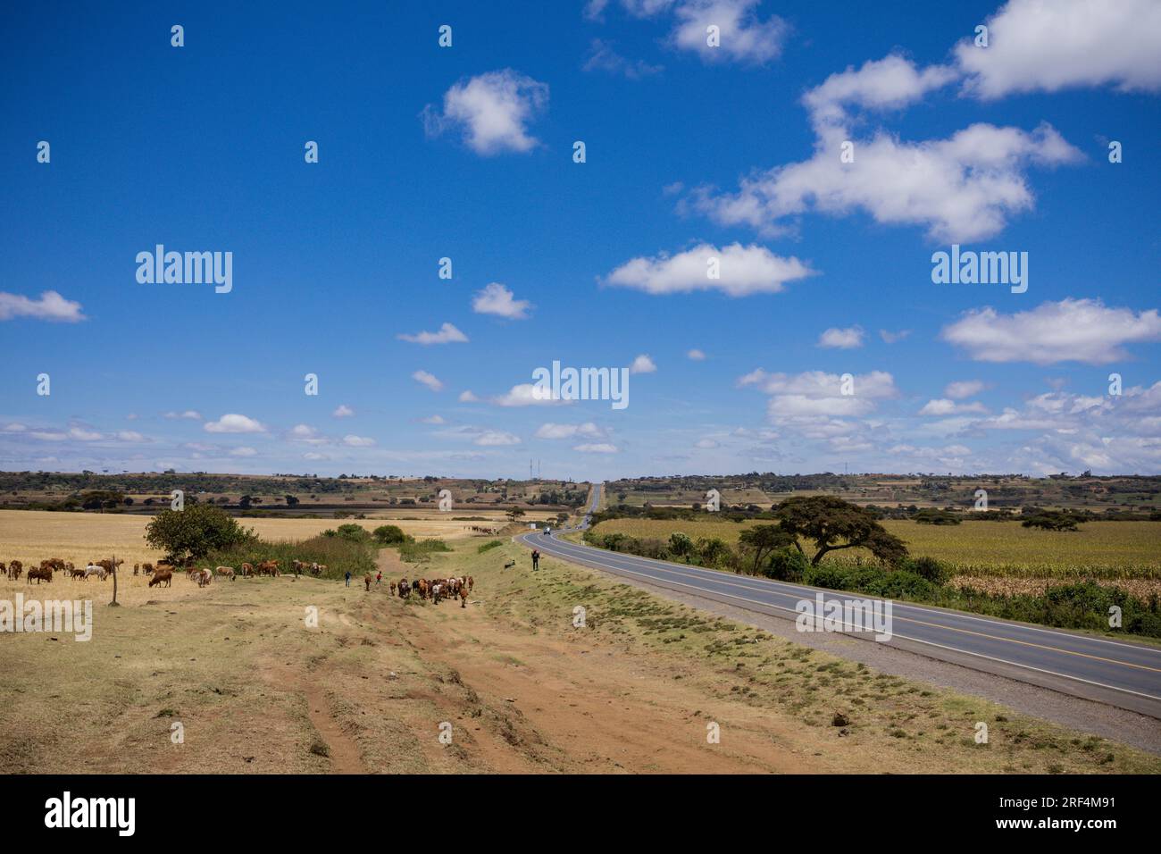 Great Rift Valley Kenya Landscapes Savannah Grassland Narok County Mai ...