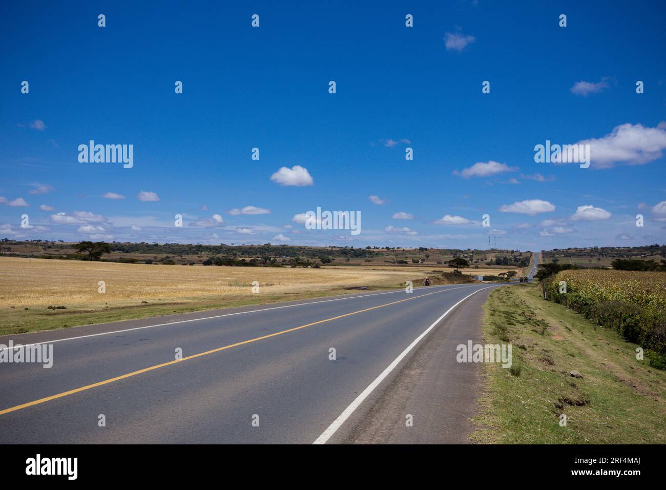 Great Rift Valley Kenya Landscapes Savannah Grassland Narok County Mai ...