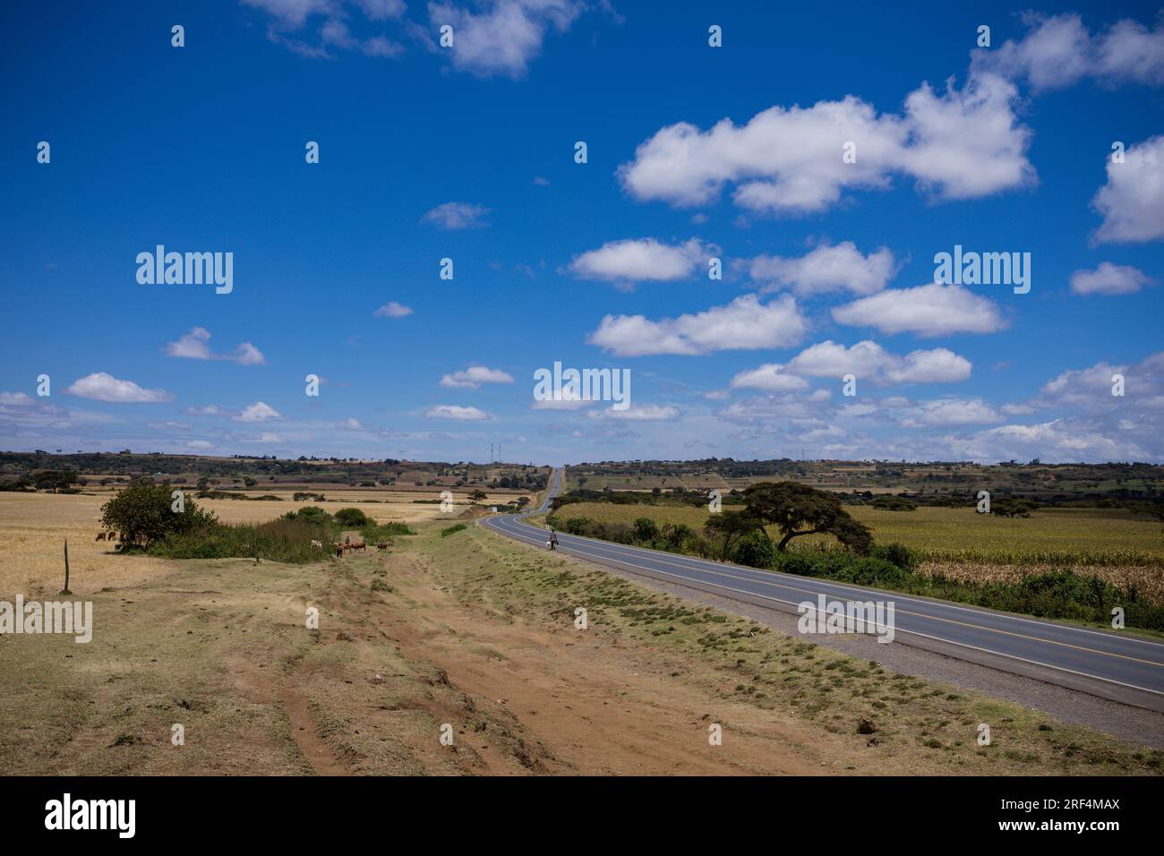 Great Rift Valley Kenya Landscapes Savannah Grassland Narok County Mai ...