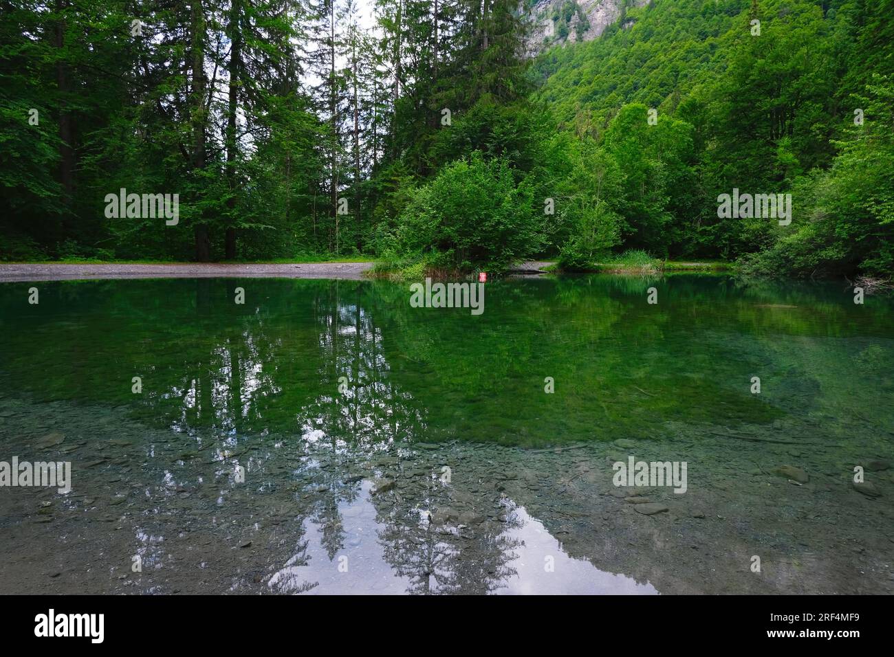 Cirque du Fer-a-Cheval tour with Bout du Monde, the most grand alpine ...