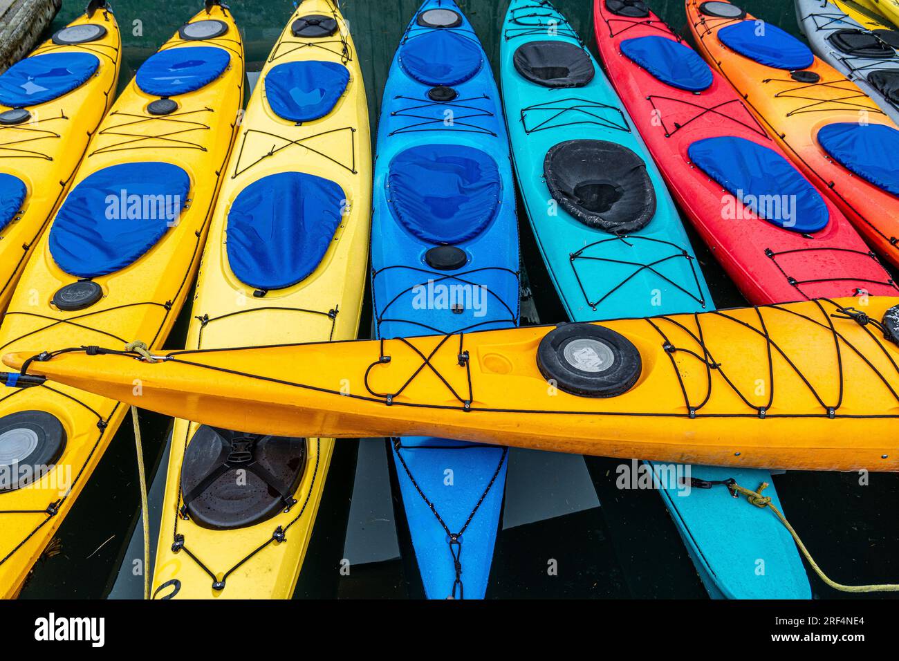 Blue, orange and red kayaks floating in a tight formation and one ...