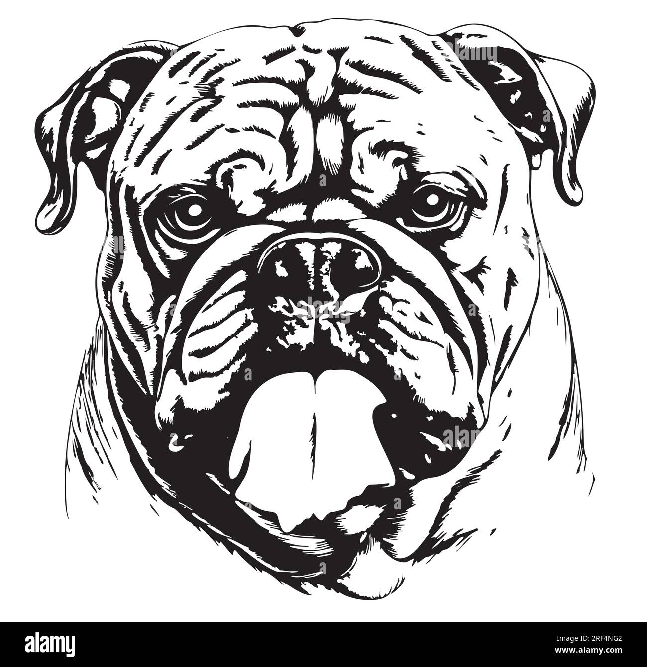 Wrinkled head Cut Out Stock Images & Pictures - Alamy