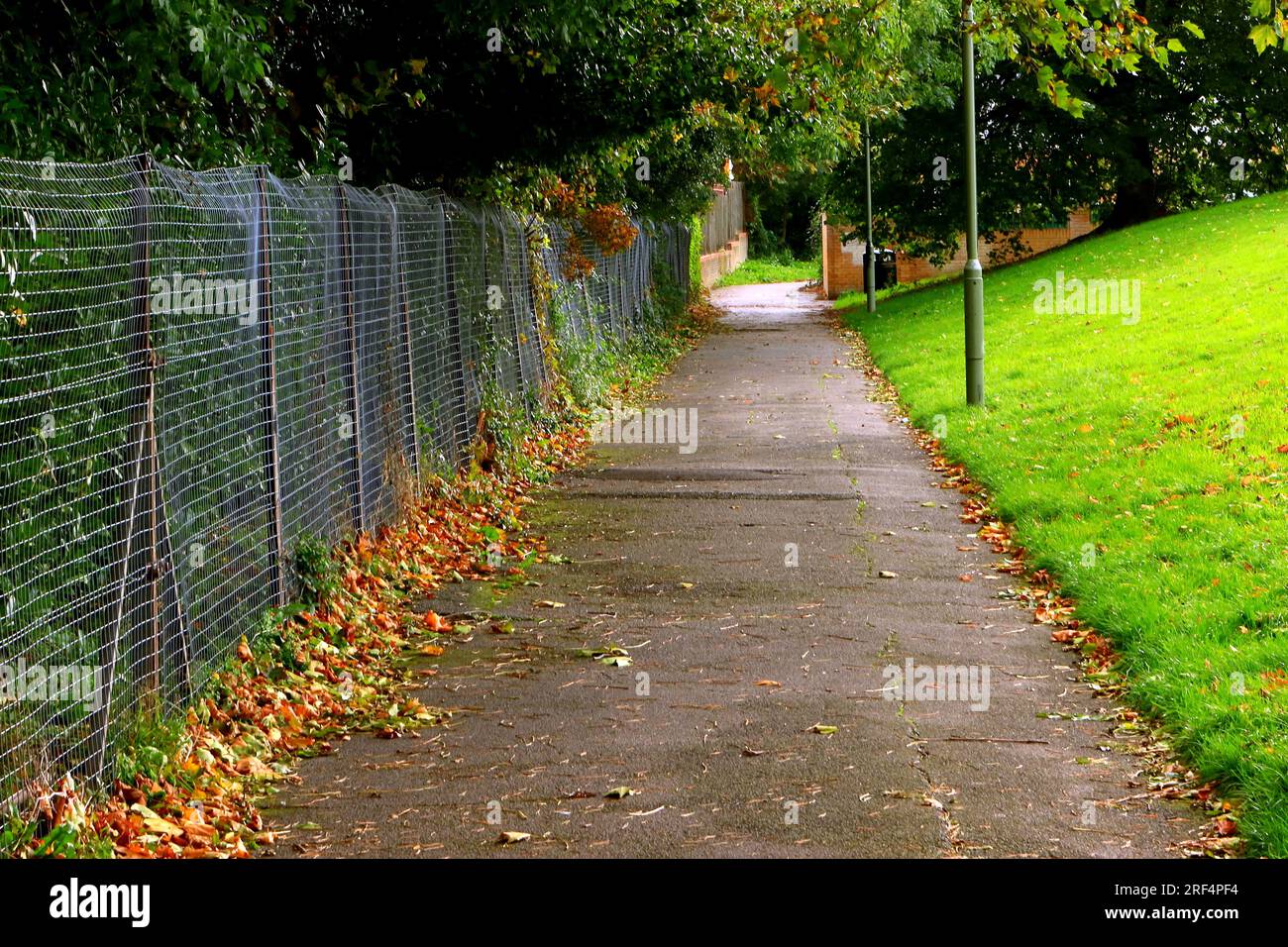 A long, straight footpath in autumn with green grass to one side and a ...