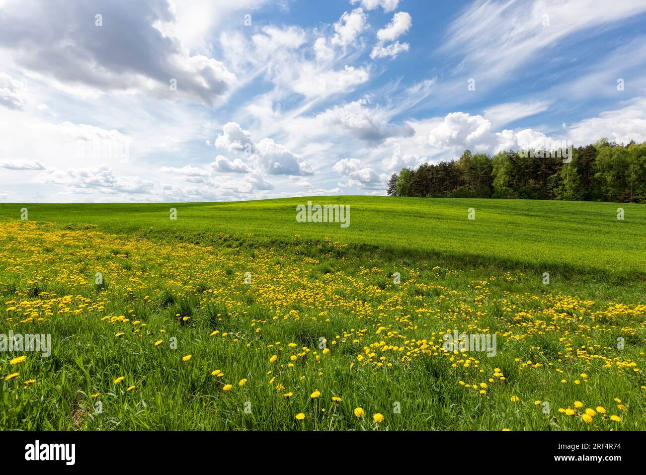 agricultural activities in the field of crop production, seasonal ...