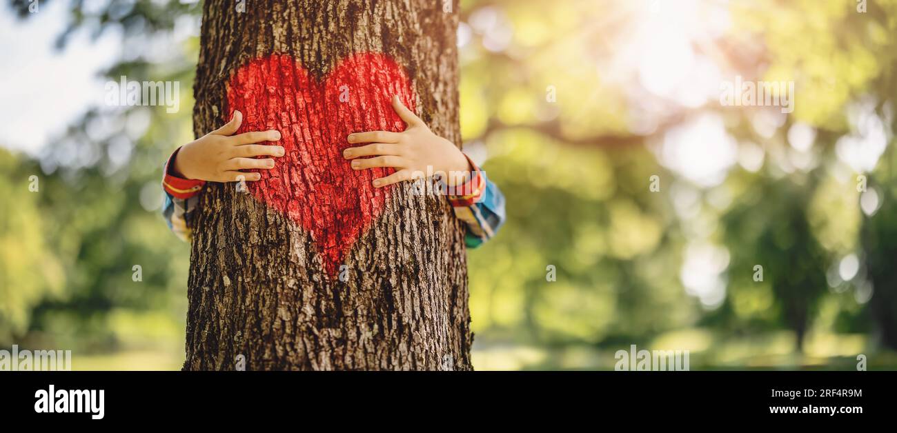 Child hugging an old tree in the natural park Stock Photo - Alamy
