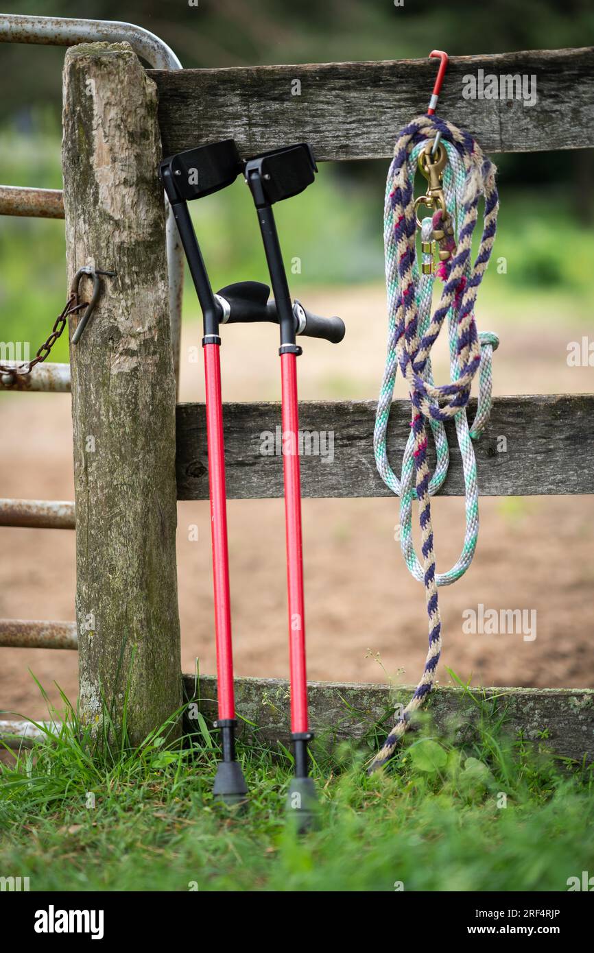Red forearm crutches and lead ropes on a paddock fence Stock Photo - Alamy