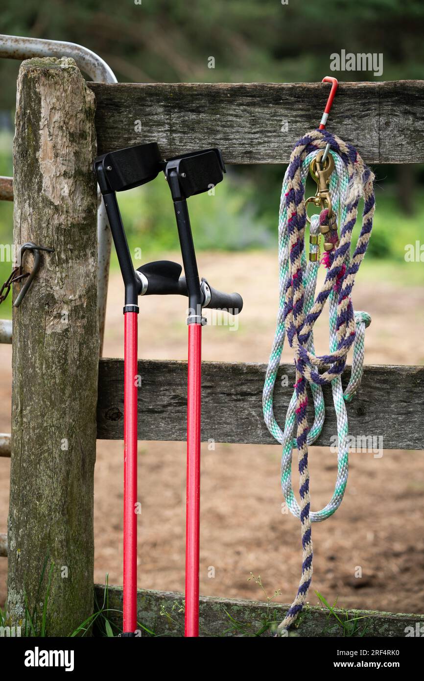 Red forearm crutches and lead ropes on a paddock fence Stock Photo - Alamy