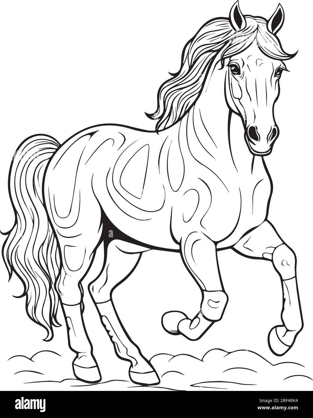 Pet coloring pages for adults Cut Out Stock Images & Pictures - Alamy