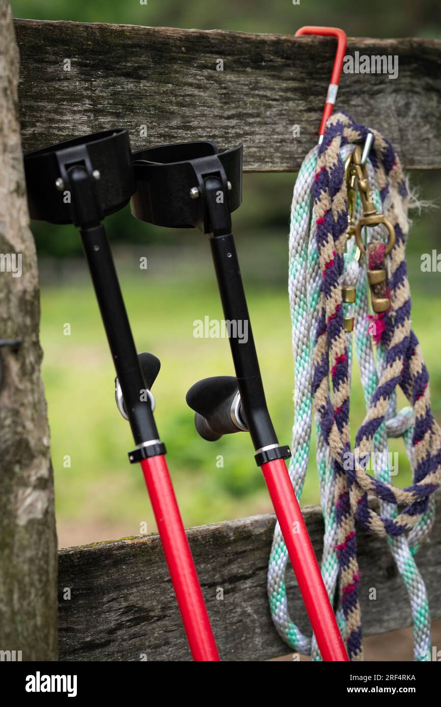 Red forearm crutches and lead ropes on a paddock fence Stock Photo - Alamy