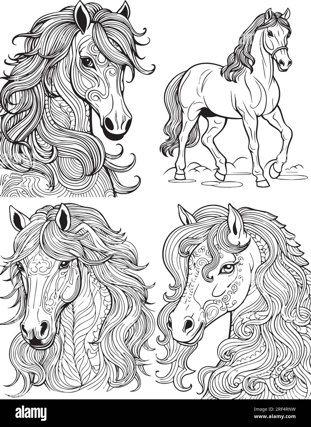 Pet coloring pages for adults Cut Out Stock Images & Pictures - Alamy
