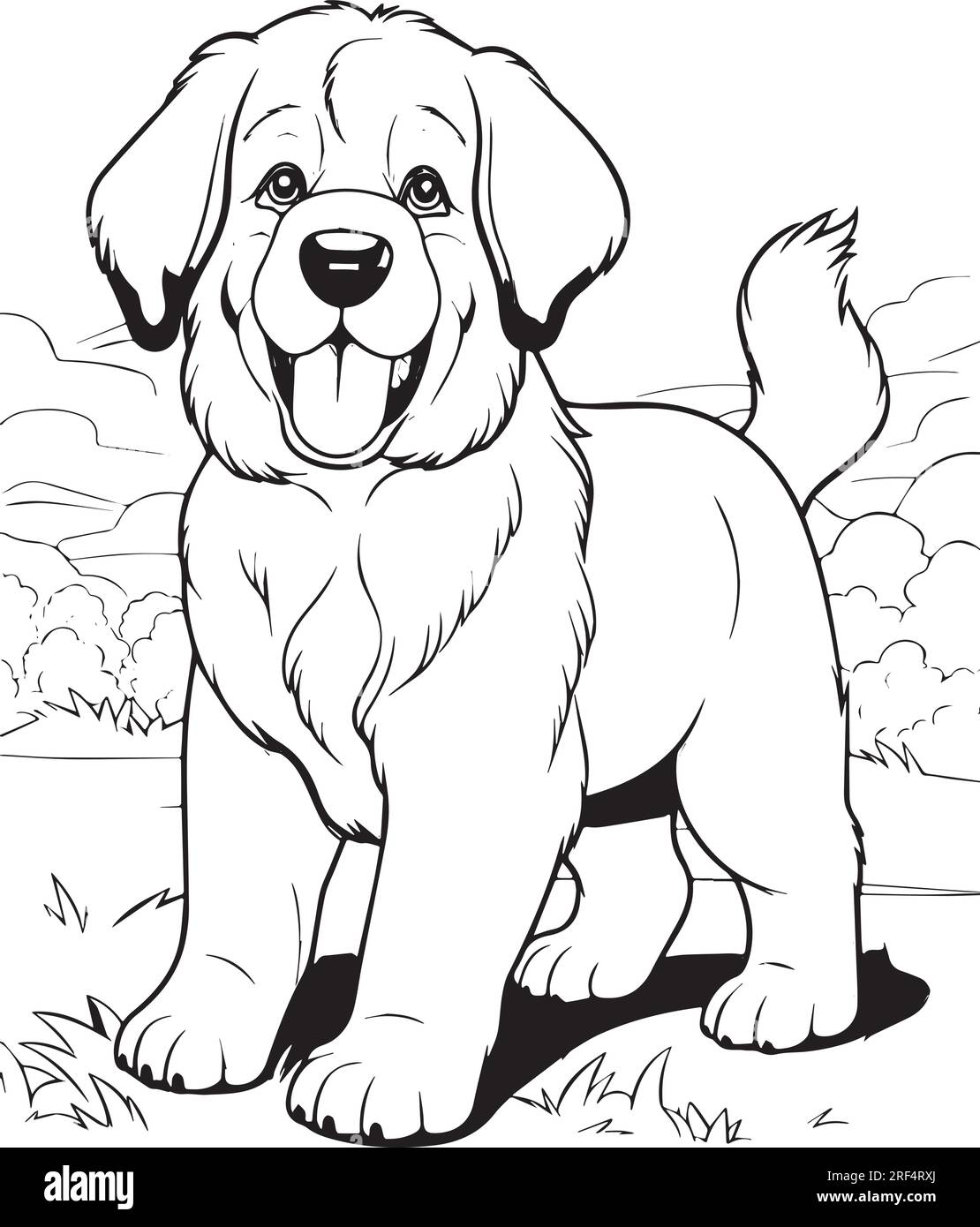 Zen horse Black and White Stock Photos & Images - Alamy