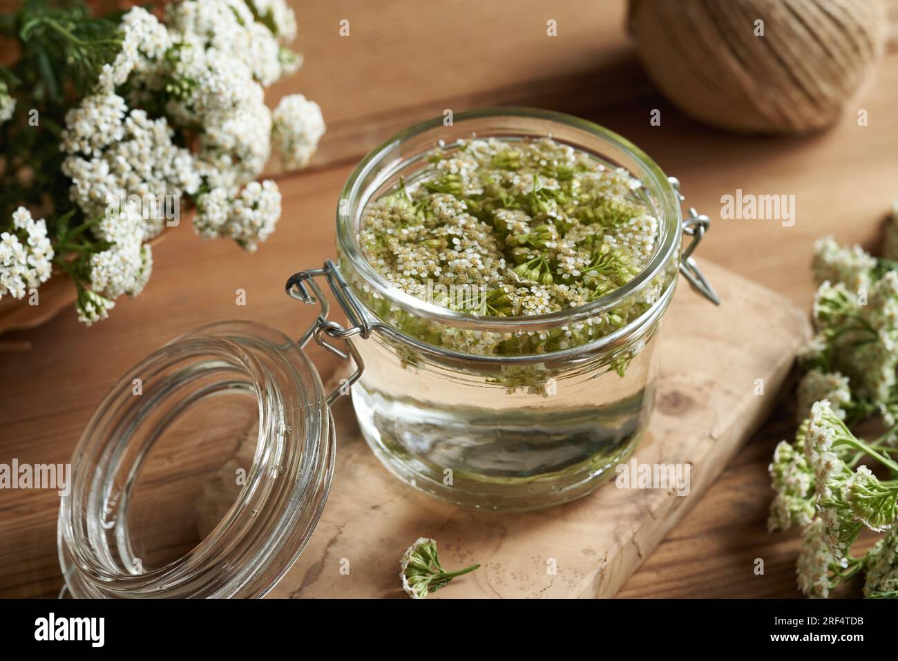 Homemade herbal tincture made from fresh blooming yarrow or Achillea ...