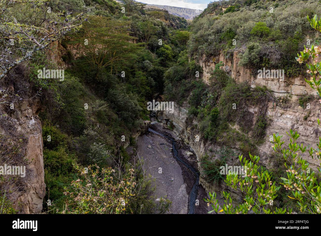 Landscape Nature At Hells Gate National Park Great Rift Valley Nakuru ...