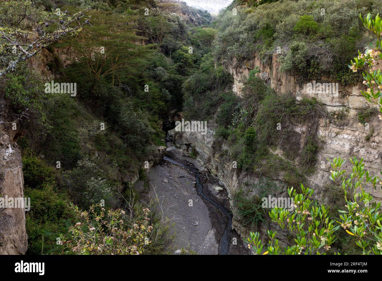 Hell gate national park kenya hi-res stock photography and images - Alamy