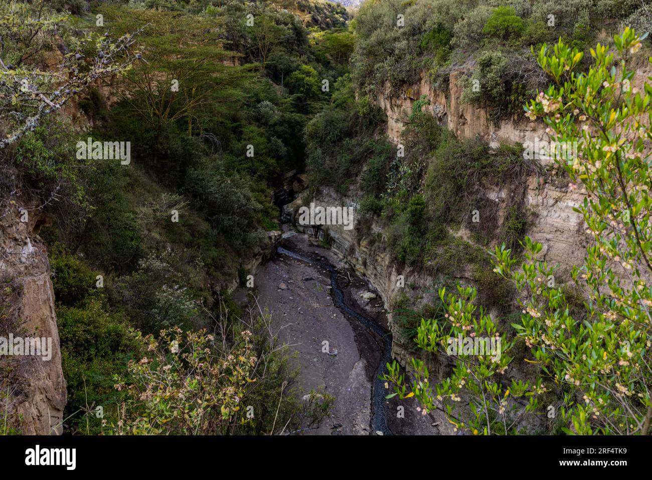 Hell gate national park kenya hi-res stock photography and images - Alamy