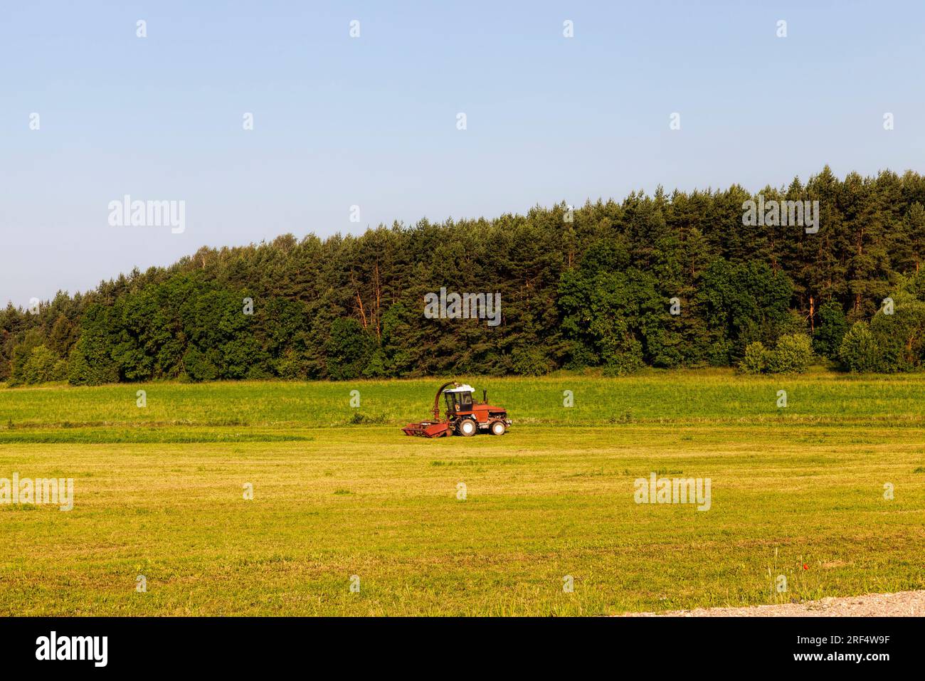 agricultural activities in the field of crop production, seasonal ...