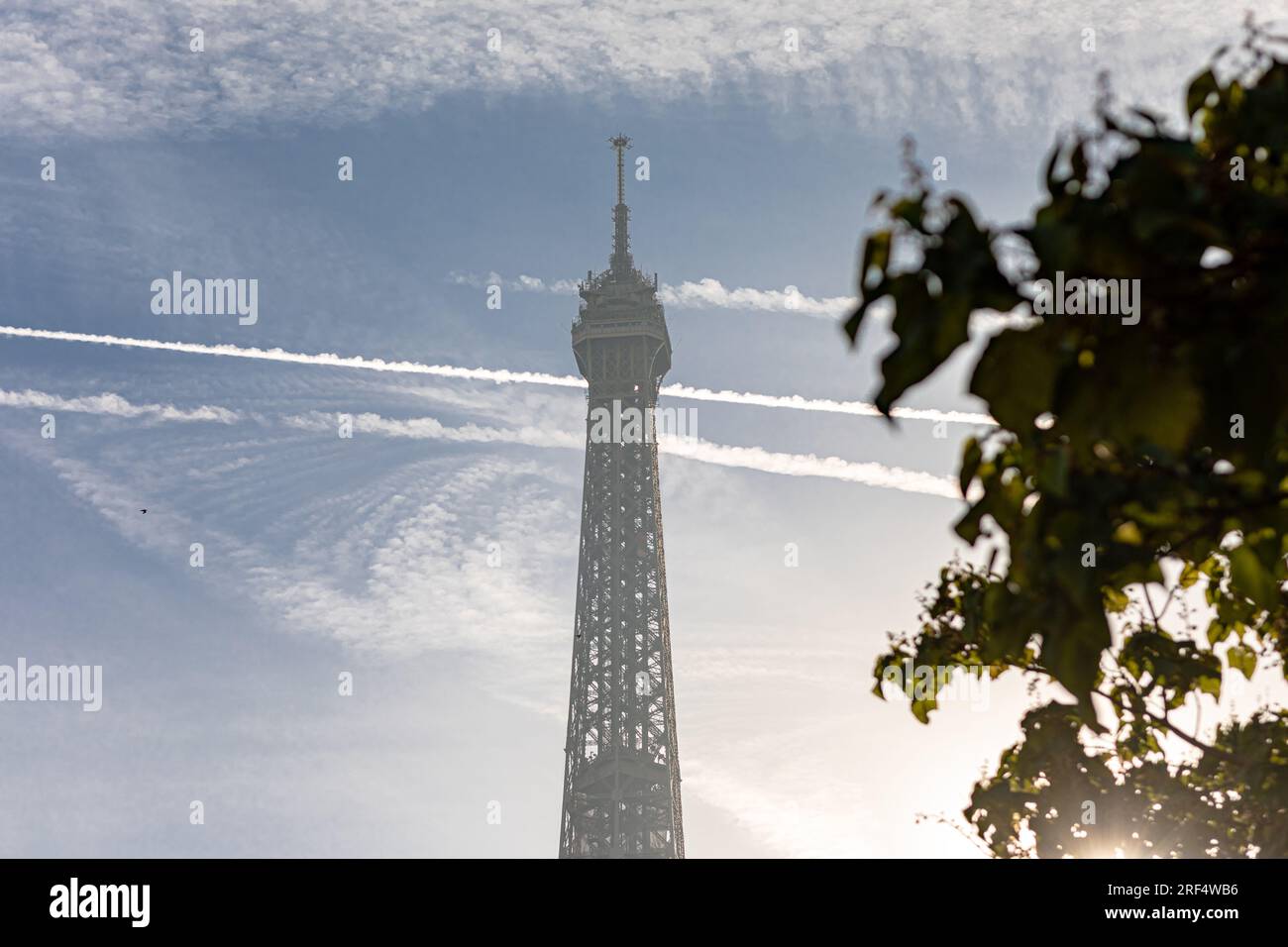 Eiffel tower isolated over the white background Stock Photo - Alamy