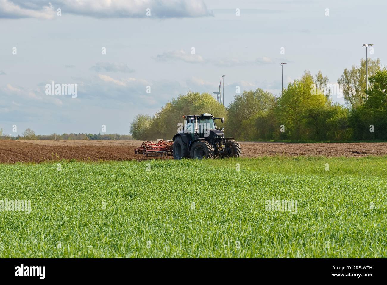 In the foreground is a field with green grass. On the field, the ...