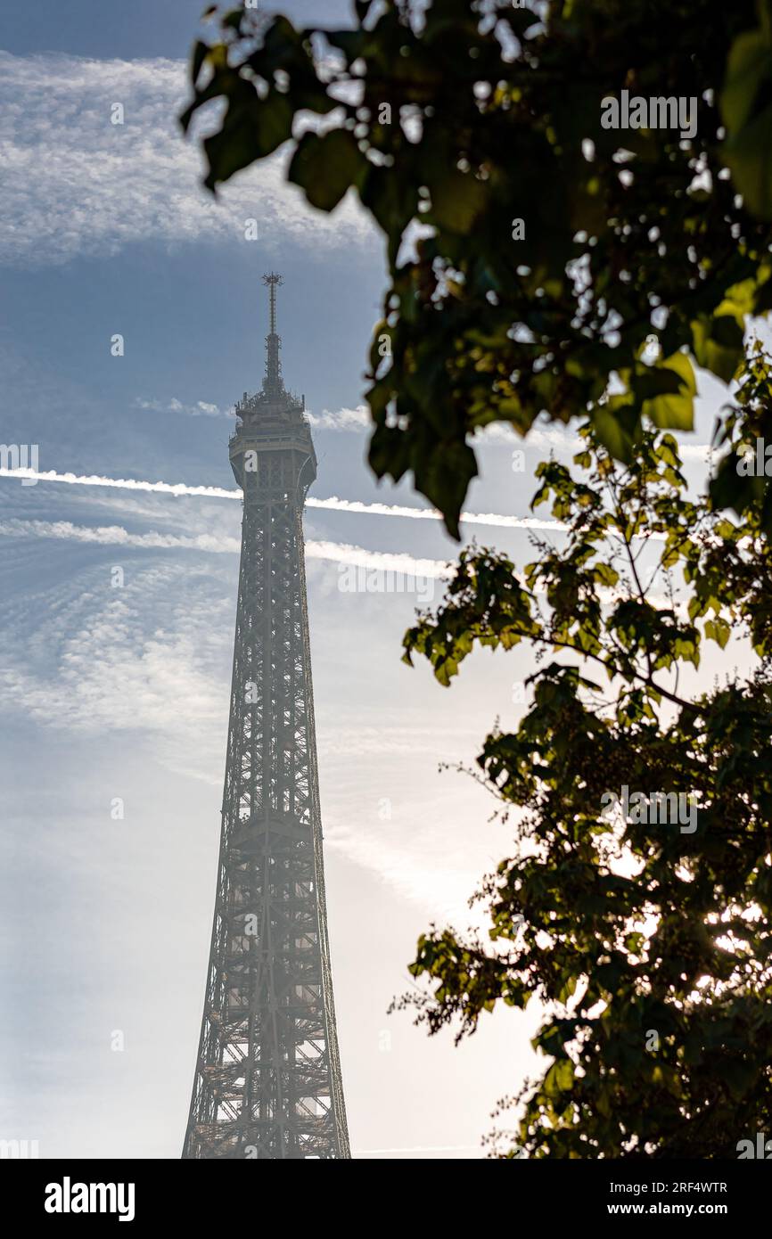 Eiffel tower isolated over the white background Stock Photo - Alamy