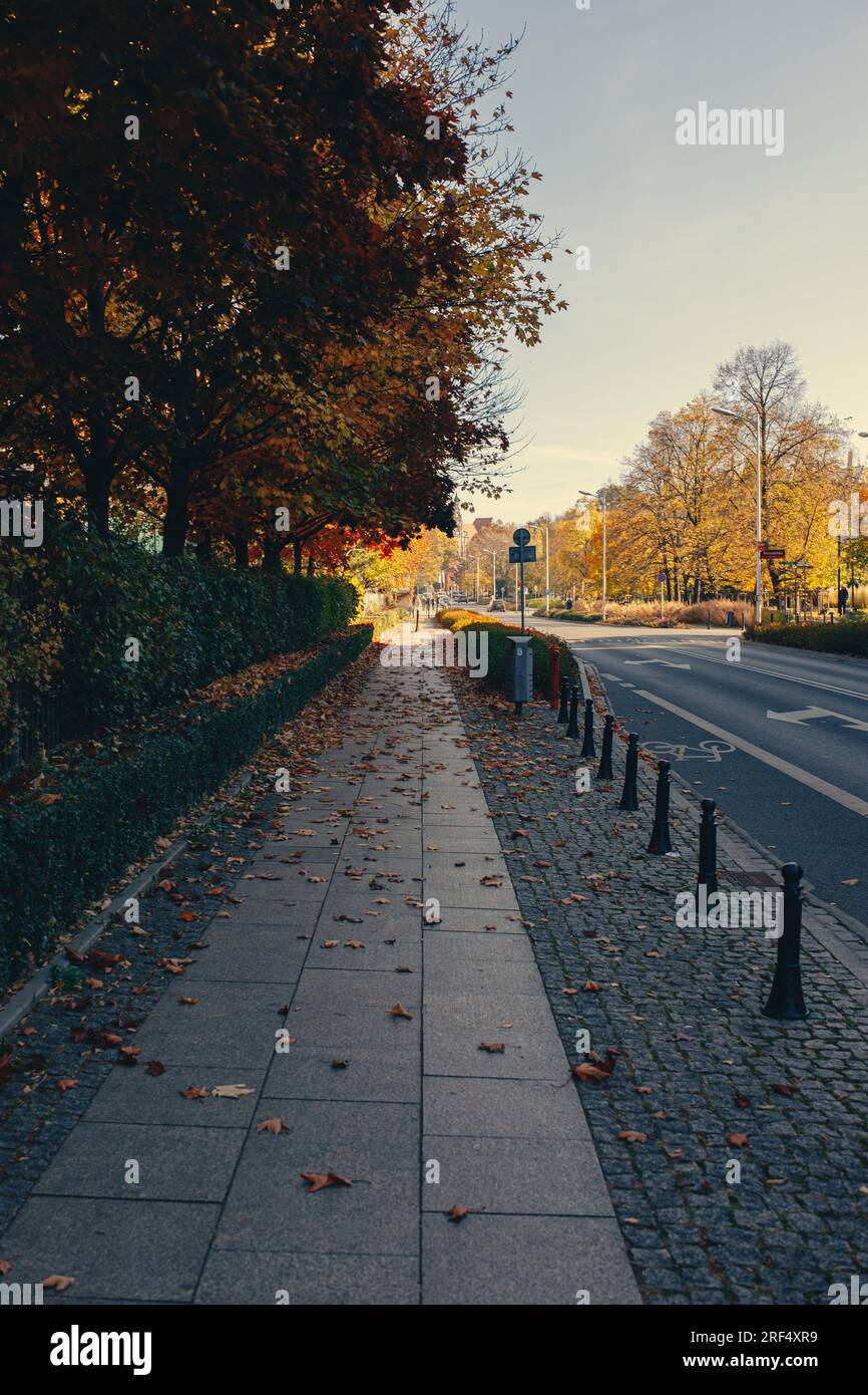Arc de Triomphe located in Paris, in autumn scenery Stock Photo - Alamy