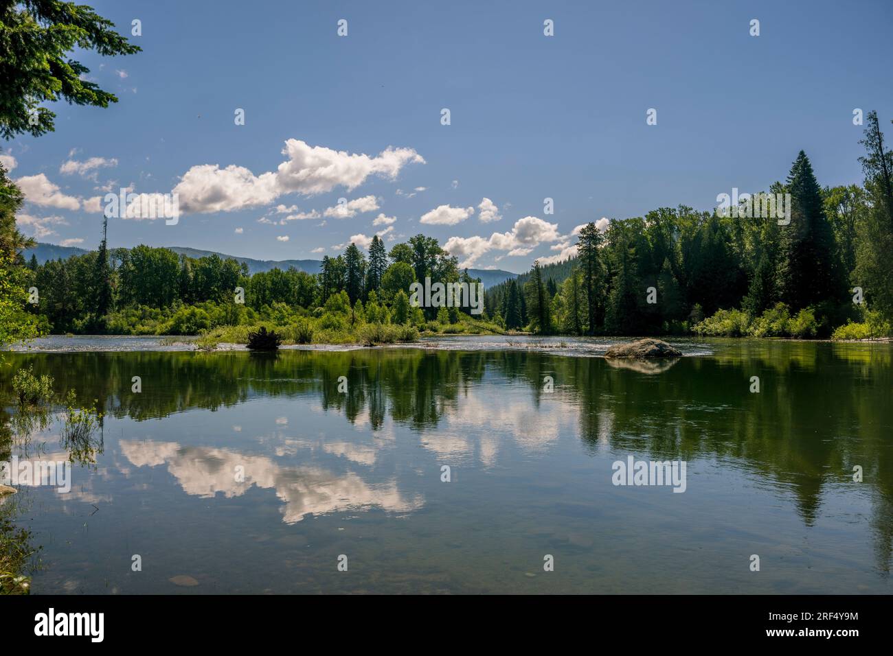 View of the Wenatchee River and the forest at Lake Wenatchee State Park ...
