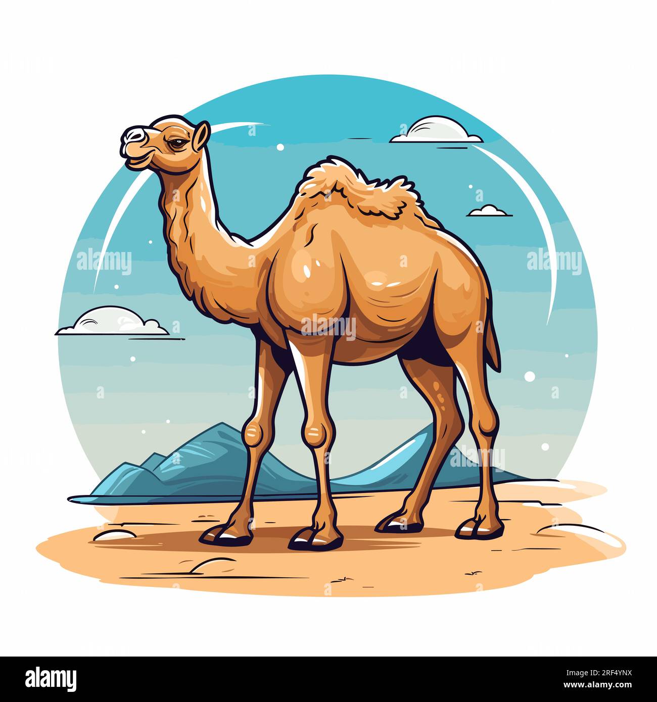 Dromedary cub Stock Vector Images - Alamy