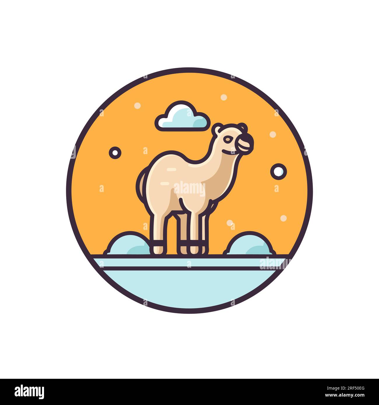 Dromedary cub Stock Vector Images - Alamy