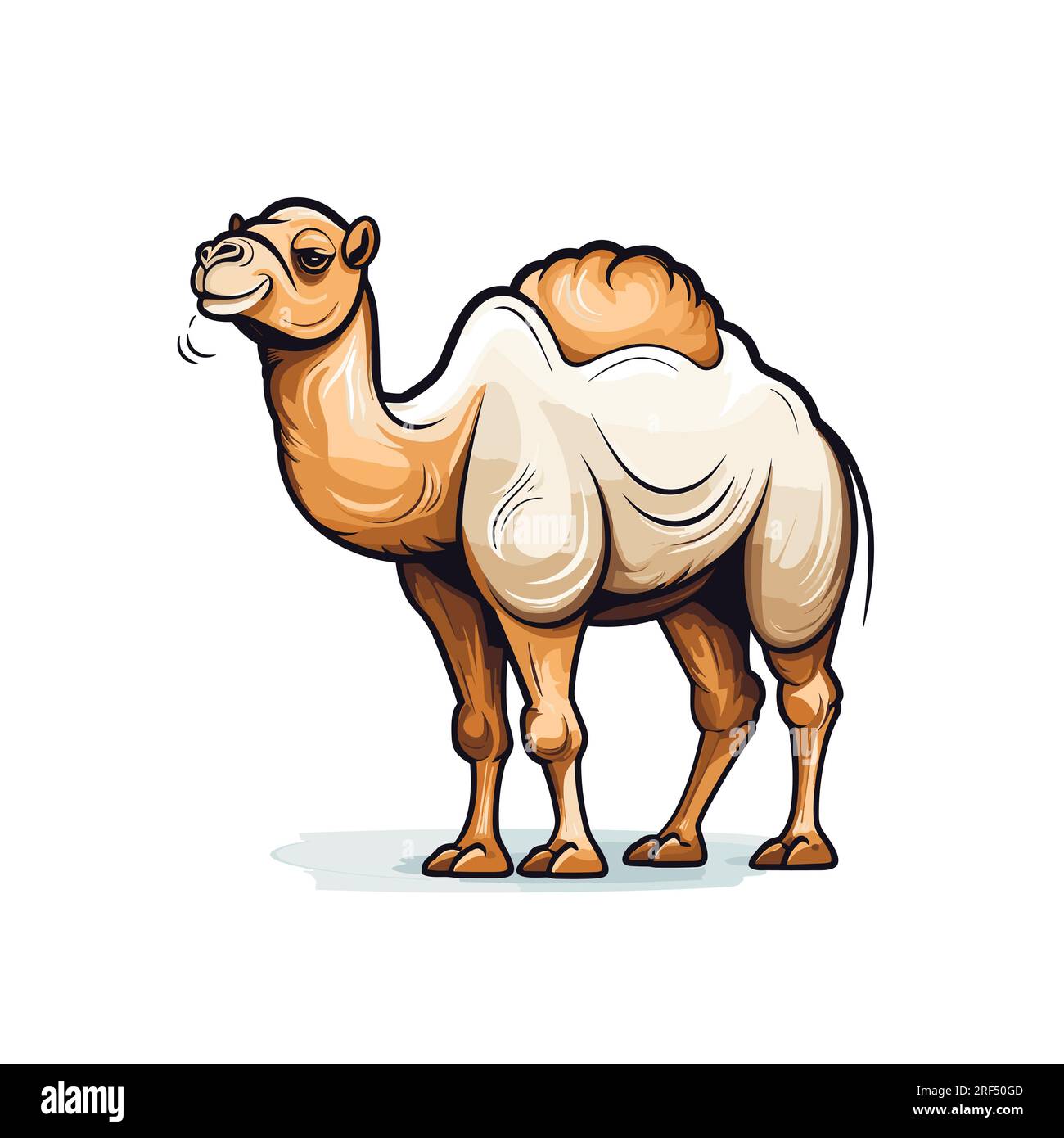 Dromedary cub Stock Vector Images - Alamy